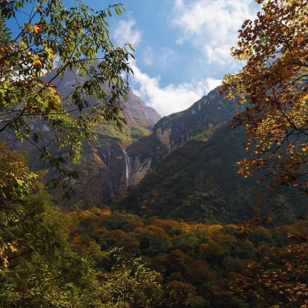 Guided Hike from Dhawa to Birethanti, Annapurna Region | Private Guided ...