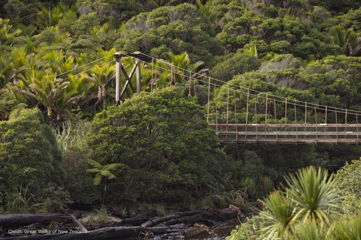 Heaphy Track Heli-Hike, Kahurangi National Park | New Zealand Luxury ...