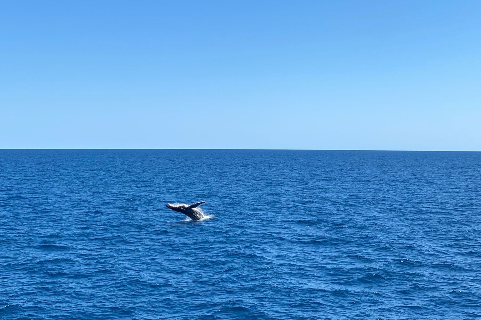 10 Night Ponant West Coast Odyssey Cruise | Luxury Travel Review | Walk ...