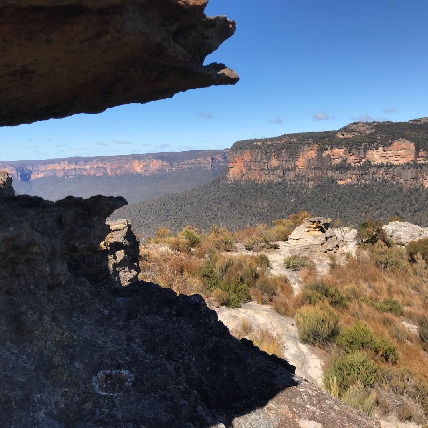 Weather in Blue Mountains| Walk Into Luxury