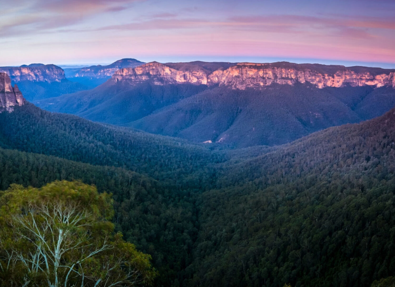 Luxury Blue Mountains Walk | Lodge-Based Guided Hike, Blue Mountains ...