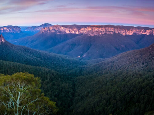 Mt Banks Summit Walk, Blue Mountains | Best Day Walks Blue Mountains ...