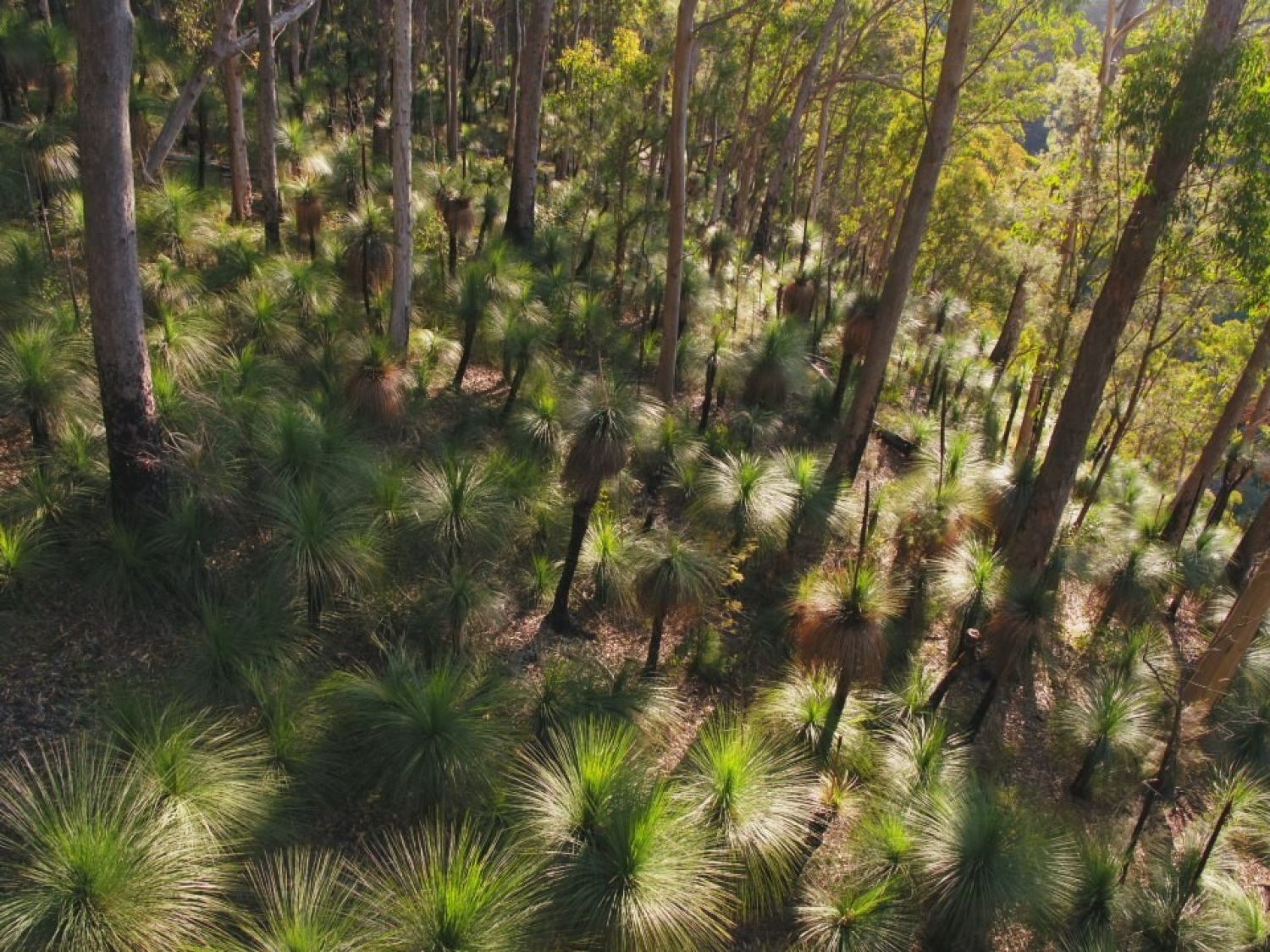 Scenic Rim Walk Tour | Great Walk of Australia | Walk into Luxury