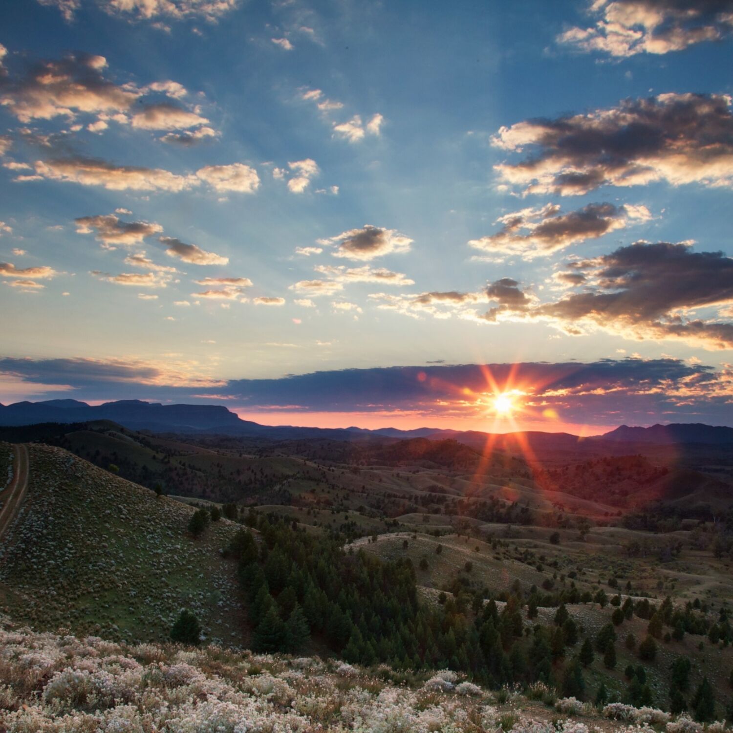 How do I get to Arkaba Homestead? | Walk Into Luxury