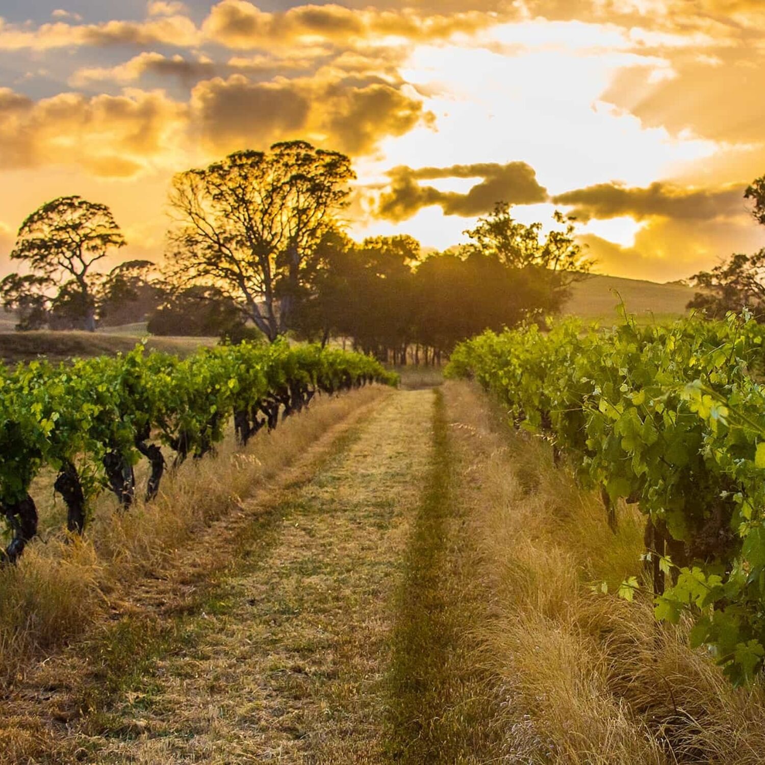What are the check-in and check-out times at Hutton Vale Farm? | Walk ...