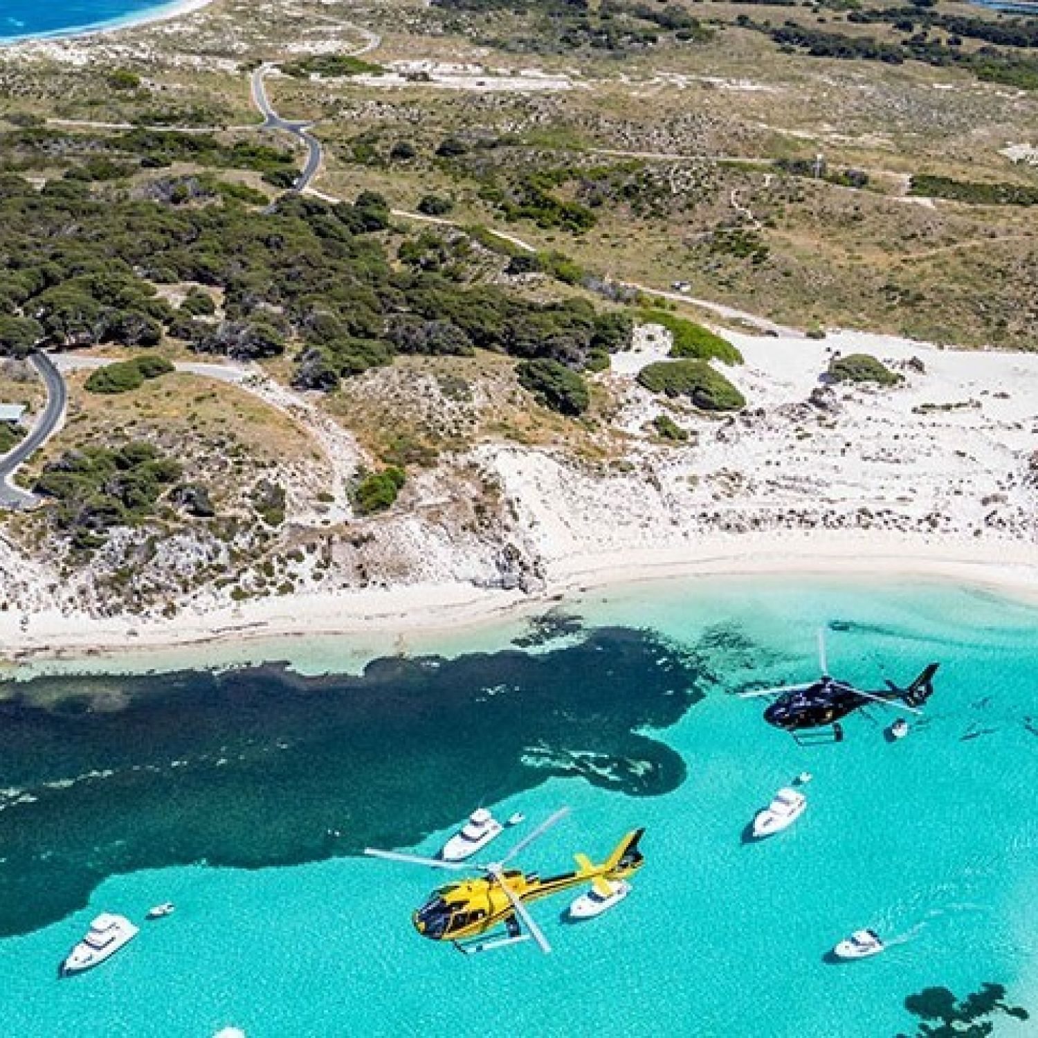 When is the best time to visit Perth and Rottnest Island? | Walk Into ...